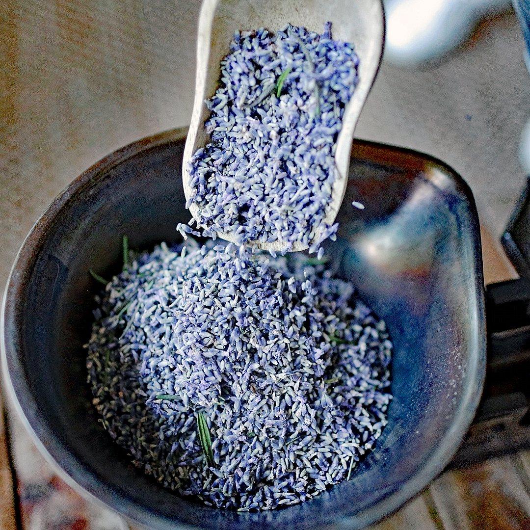 Using Culinary Lavender Buds - The Basics - Lavender Northwest